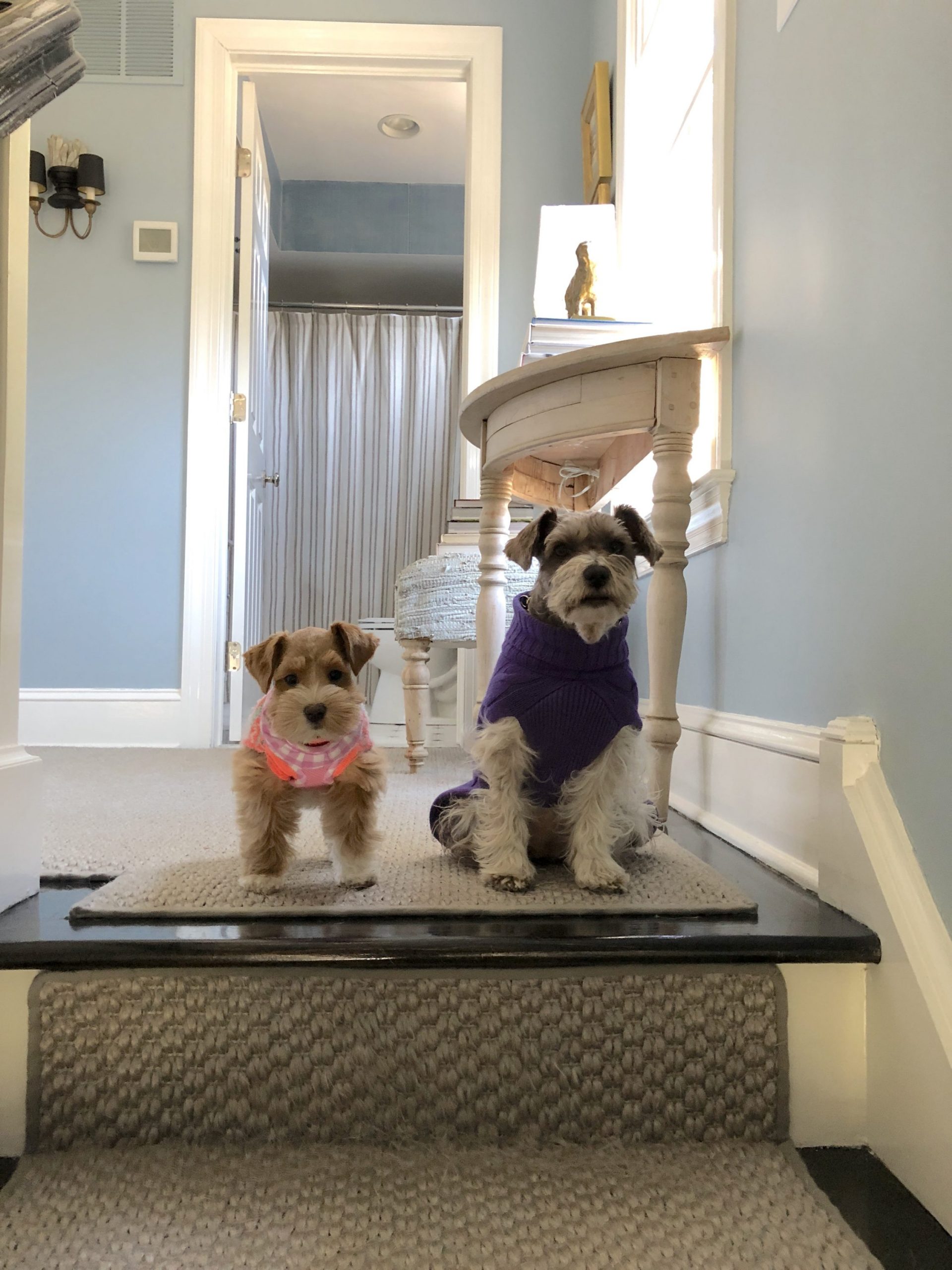 Daisy - Mar Jennings: TV Host, Realtor, Designer