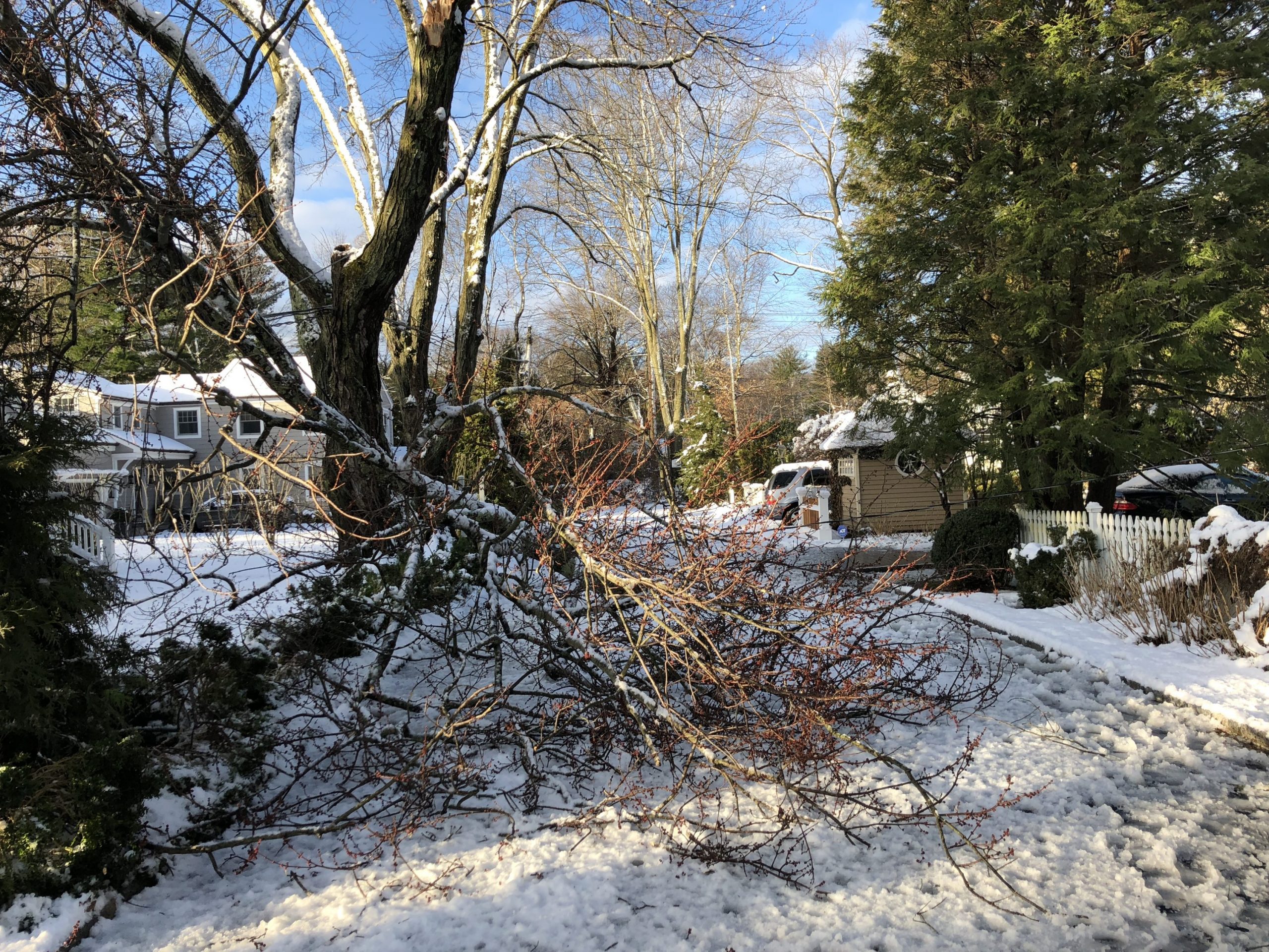 The Giving Tree - Mar Jennings: TV Host, Realtor, Designer